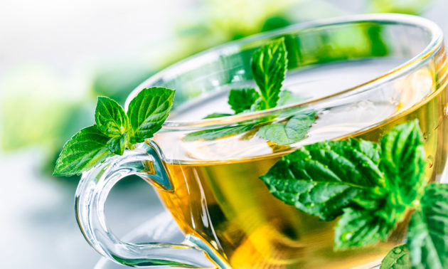 Té de menta: Poderosos beneficios | Confirmado