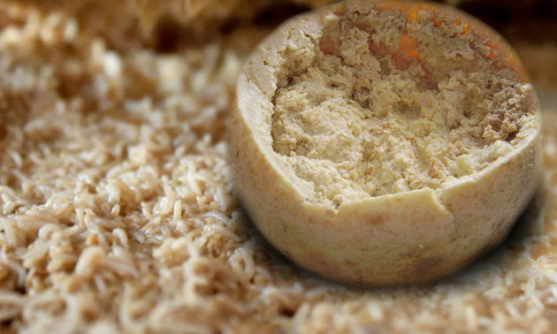 Casu Marzu | El Increíble y Peligroso Queso con Gusanos