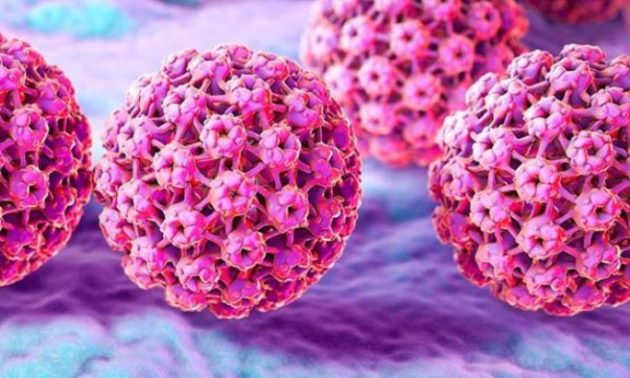 Instituto en México logra eliminar el VPH